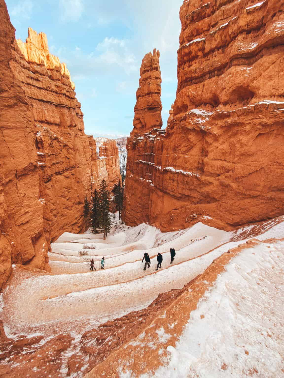 Winter Hiking for Beginners: 17 Essential Tips for Cold Weather Hiking