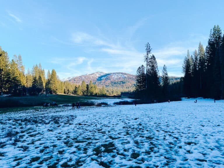 17 Amazing Easy & Short Hikes in Yosemite National Park