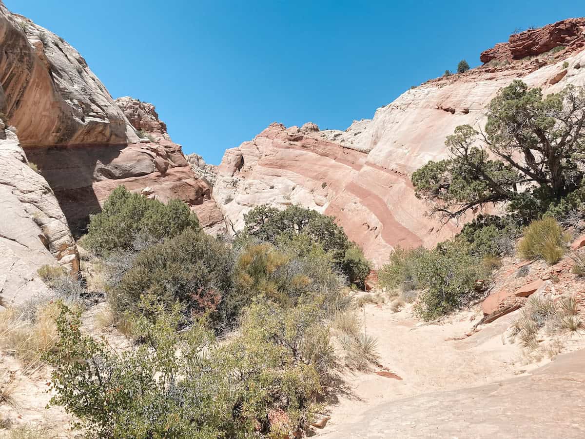 13 Best Hikes in Capitol Reef National Park - Brooke In Boots