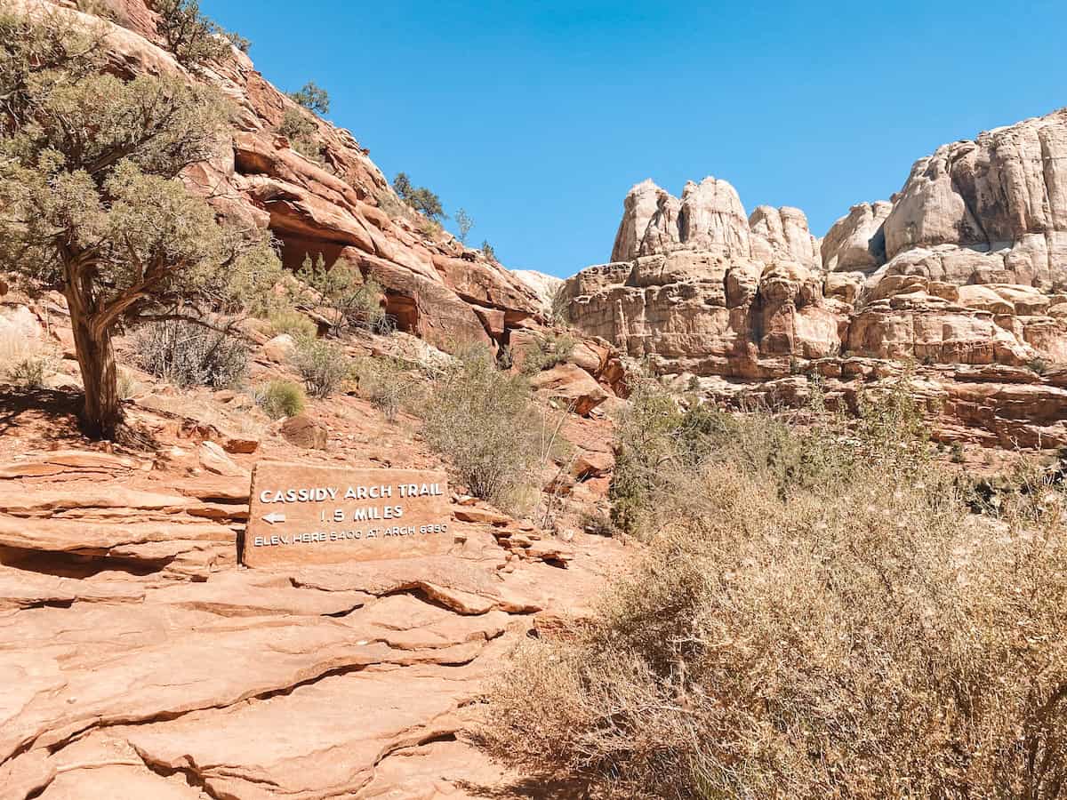 How to Spend One Epic Day in Capitol Reef National Park - Brooke In Boots